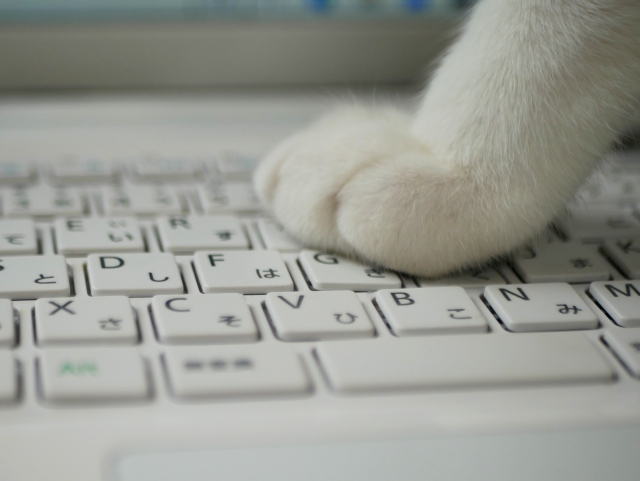 java File Stream と FileChannel の速度比較 | OISブログ
